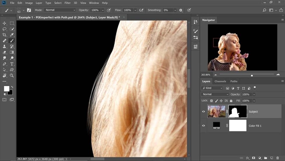 How To Cut Out Hair From A Busy Background In Photoshop