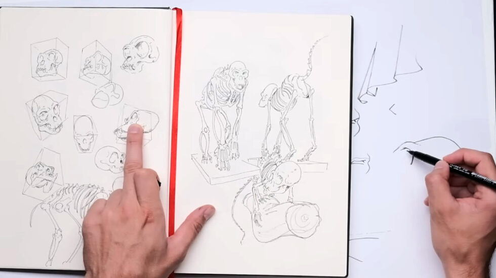 How T-Lines Make Your Drawings Awesome: The Easiest Art Trick Ever - Wacom